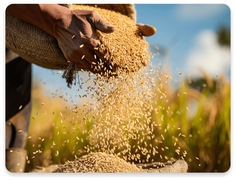 About - Matix Fertilizers and Chemicals Ltd.